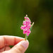 Gladiolus Floral Enamel Pin | The Gray Muse - Pin Gift Shop