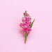 Gladiolus Floral Enamel Pin | The Gray Muse - Pin Gift Shop