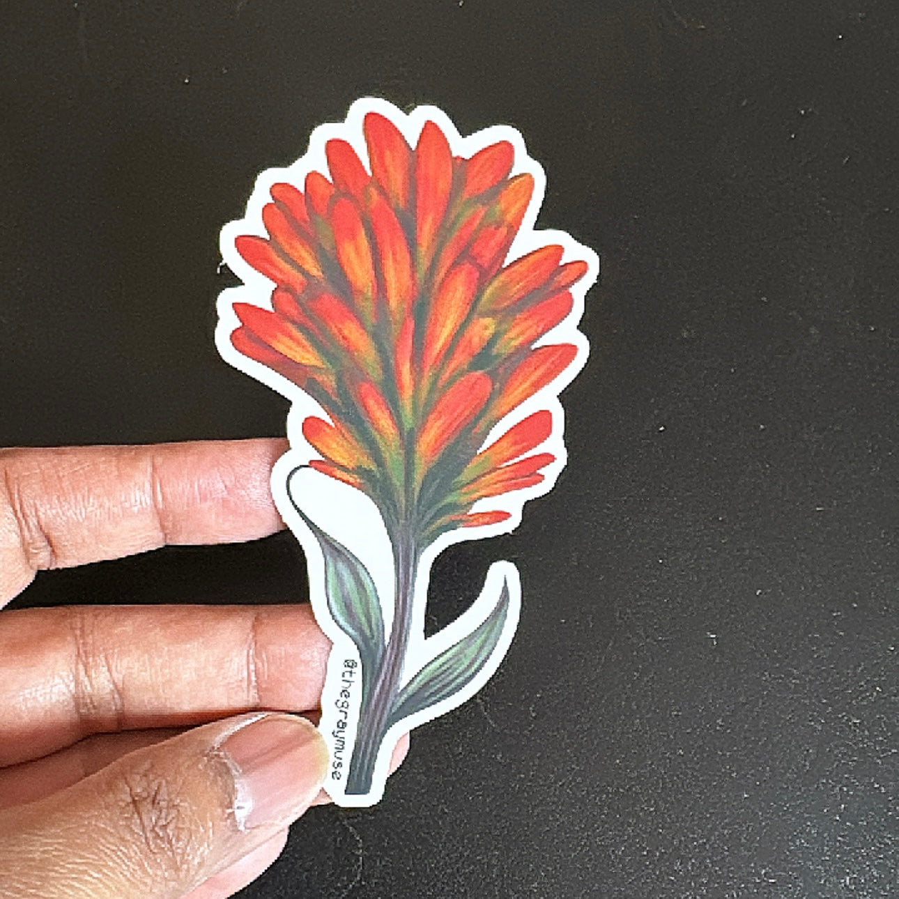 Indian Paintbrush Floral Matte Sticker – The Gray Muse