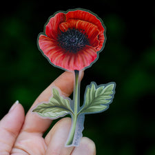 Poppy (Red) Floral Matte Sticker – The Gray Muse