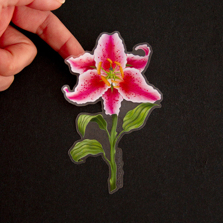 Stargazer Lily Floral Matte Sticker – The Gray Muse